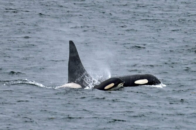 Private Custom Excursion With a Local for up to 14 People - Avoiding Crowded Tourist Spots