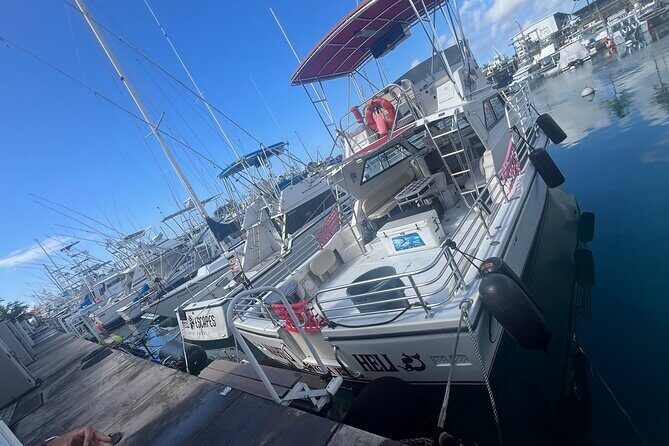 Private & Custom - Family Fish and Snorkel Charter - An In-Depth Look at the Experience