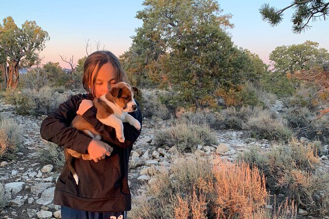 Private Custom Grand Canyon Tours - Deep Dive: Why This Tour Offers Real Value