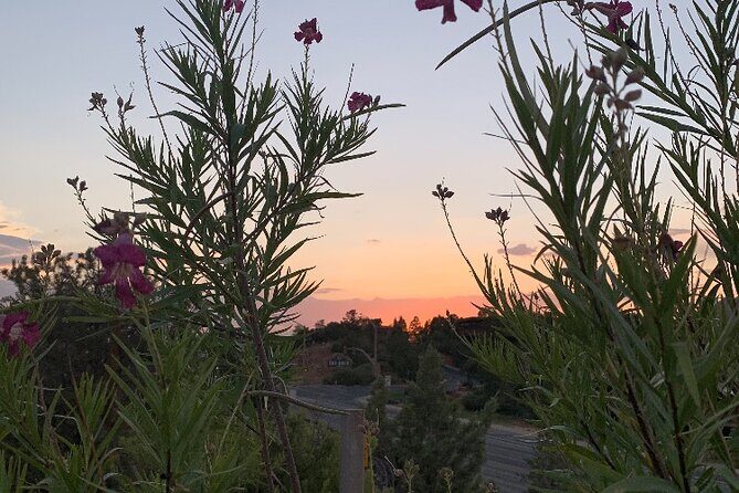 Private Custom Grand Canyon Tours - Frequently Asked Questions