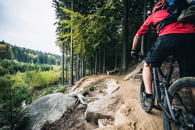 Private Custom Guided Mountain Bike Tour From Prague - Introduction