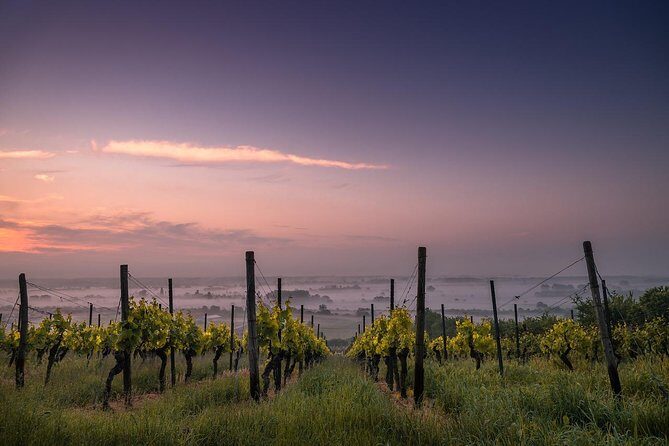 Private Custom-Made Niagara Falls Wine, Beer, and Spirits Tour - Key Points