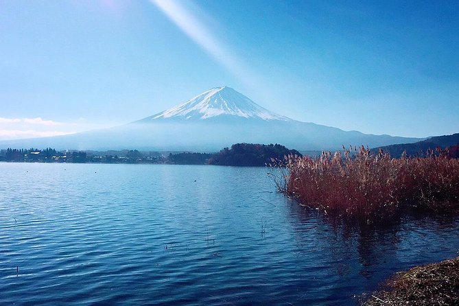 Private Custom Tokyo Tour VIP - Accessibility and Additional Info