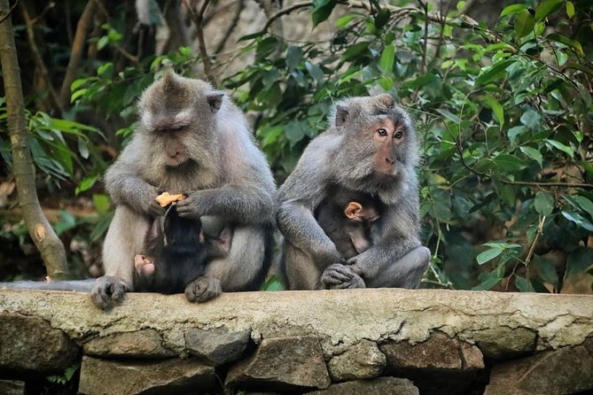 Private Custom Tour: 10-hour Tailor Made Tour of Bali - What Travelers Say