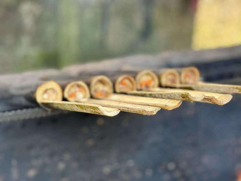 Private Custom Tour: 2 day Longji Rice Terraces Private Tour - The Experience of Traveling in Comfort and Style