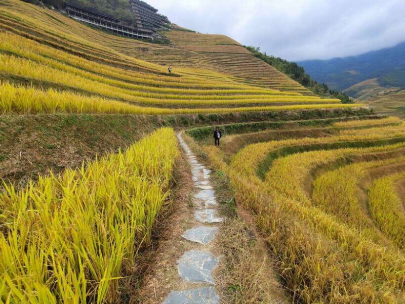 Private Custom Tour: 2 day Longji Rice Terraces Private Tour - Who Will Enjoy This Tour?