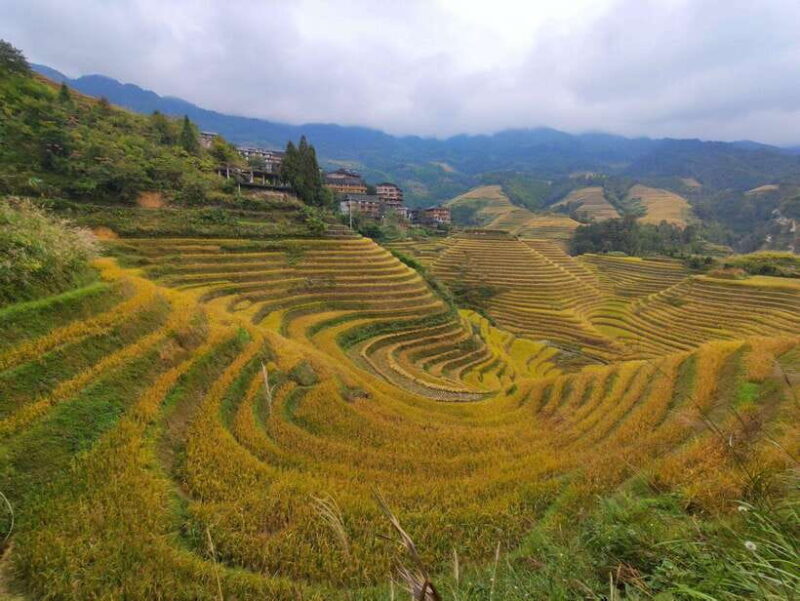 Private Custom Tour: 2 day Longji Rice Terraces Private Tour - Final Thoughts