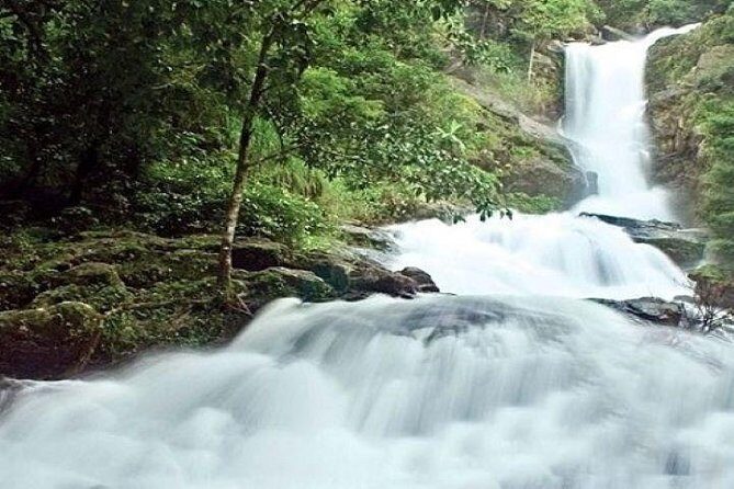 Private Custom Tour: Coorg Sightseeing with return hotel transfer - Why Choose a Private, Customizable Tour in Coorg?