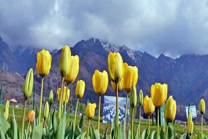 Private Custom Tour: Gulmarg local Sightseeing with guide - An In-Depth Look at the Gulmarg Private Tour