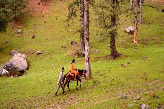 Private Custom Tour: Gulmarg local Sightseeing with guide - Who Should Book This Tour?