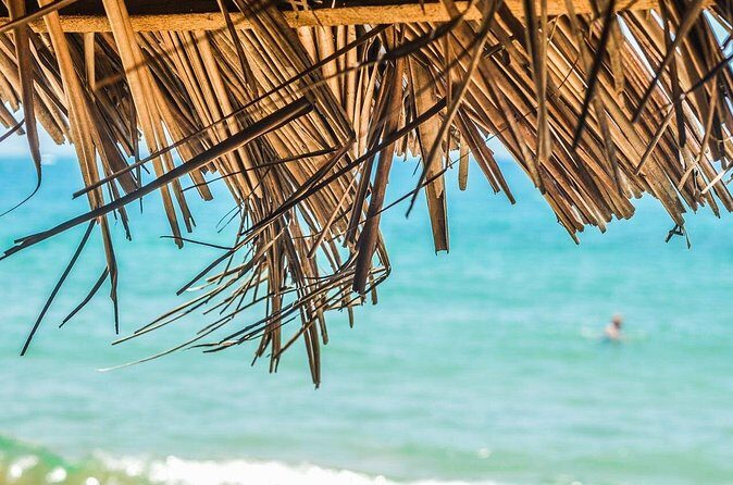 Private Custom Tour of Martinique - The Guides: The Heart of the Experience