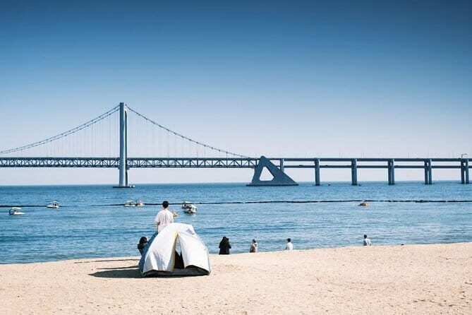 Private Custom Tour with a Local Guide Busan - What You Can Expect from the Experience
