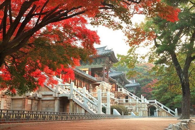 Private Custom Tour with a Local Guide Busan - FAQ