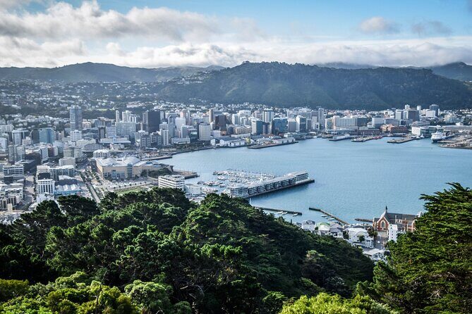 Private custom tour with a local guide Wellington - Exploring Wellington with a Personal Touch