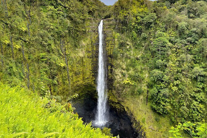 Private Custom Van Full-Day Guided Tour on Big Island of Hawaii - The Sum Up: Who Is This Tour Perfect For?