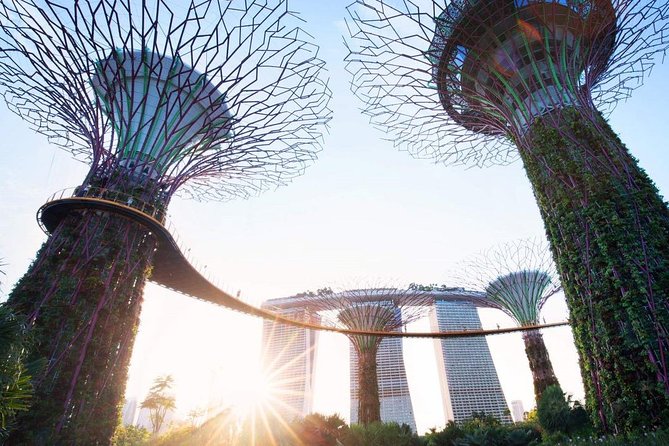 Private Customised Singapore Walking Tour - FAQ
