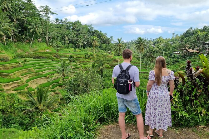 Private Customizable Bali Tour Visit with Transfer Included - Who Should Consider This Tour?