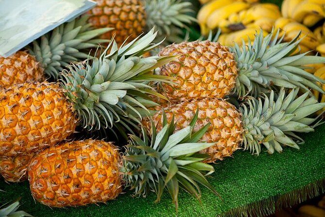 Private Customizable Grand Circle Island Tour on Oahu - Detailed Review of the Oahu Grand Circle Tour