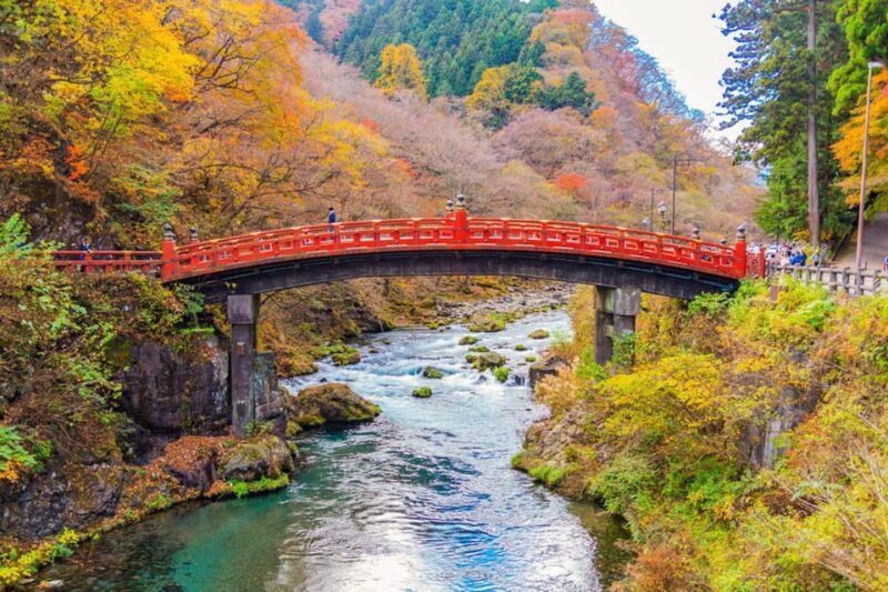 Private Customizable Nikko Full-Day Tour With English Driver - Itinerary Highlights