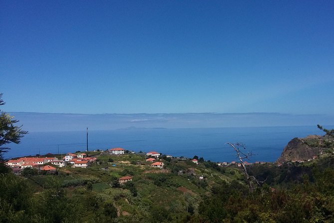 Private & Customizable Safari 4x4 Half-Day Shore Excursion - Tour Overview