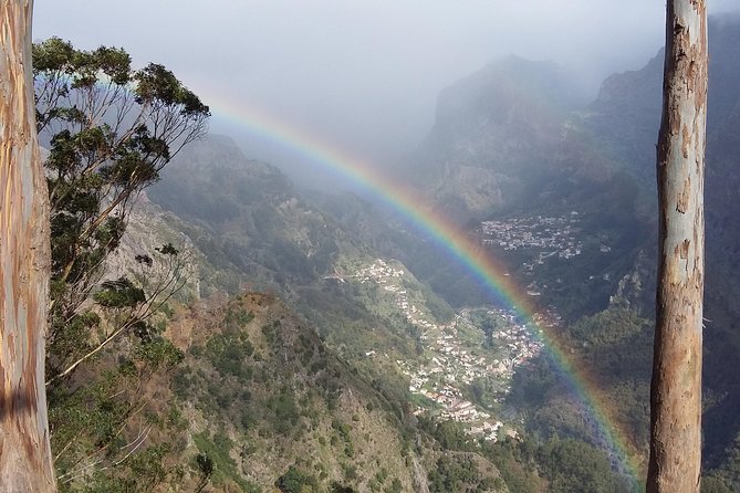 Private & Customizable Safari 4x4 Half-Day Shore Excursion - Meeting and Pickup