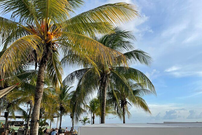 Private Customizable Tour: Amazing Beaches And Great Scenery - Key Points