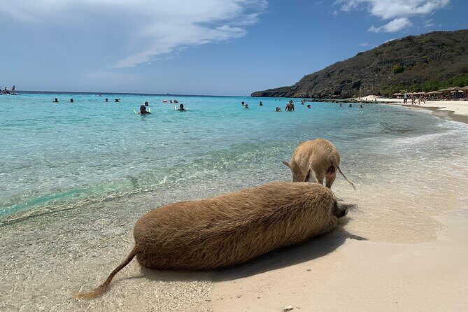 Private Customizable Tour: Amazing Beaches And Great Scenery - What Travelers Say