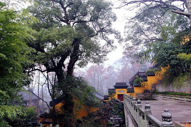 Private Customizable Tour: From Shanghai To Hangzhou With Chinese Lunch - A Deep Dive into the Hangzhou Highlights