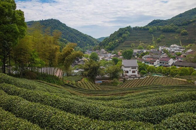 Private Customizable Tour: From Shanghai To Hangzhou With Chinese Lunch - Who Should Book This Tour?