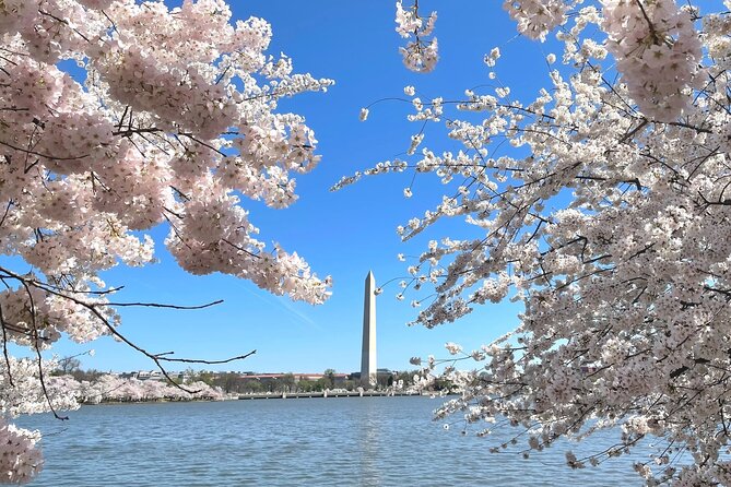 Private & Customizable Tour of Washington DC - Vehicle Options and Accessibility