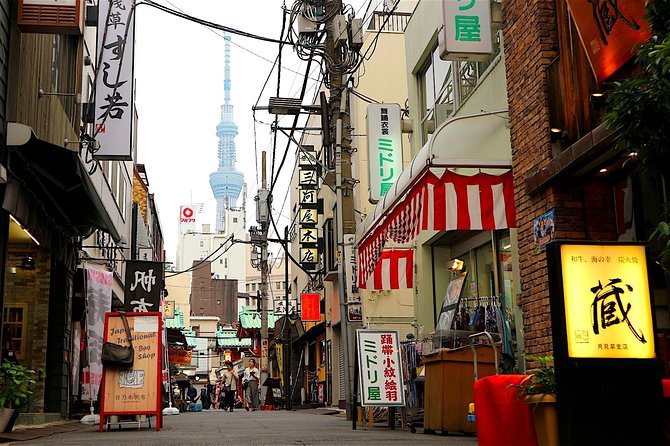 Private Customizable Walking Tour of Tokyo - What to Expect on the Tour