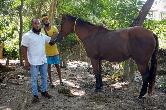 Private & Customize Tour to Martha Brae Rafting and Horseback Riding N Swim - Authentic Experiences and Authentic Guides