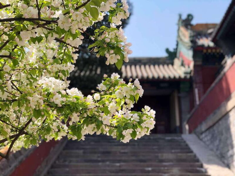 Private Customized Beijing Garden Tour - What You Can Expect During the Day