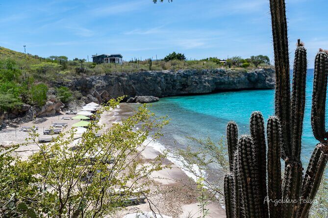 Private Customized Day Tour in Curaçao - An In-Depth Look at the Private Curaçao Tour