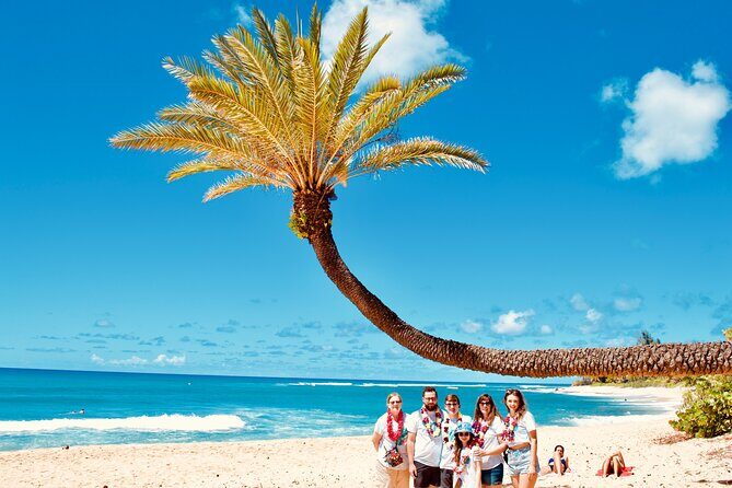 Private Customized Oahu Full Day Tour - Who Should Consider This Tour?