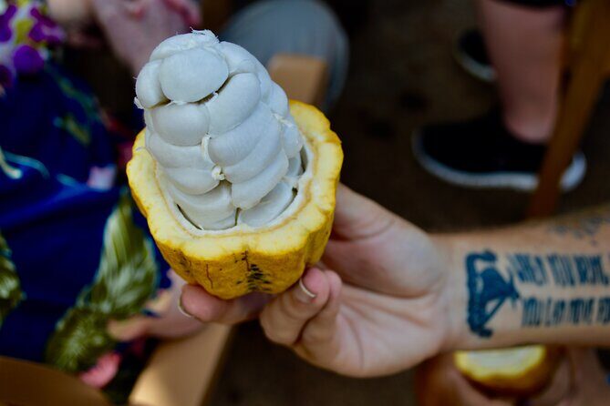 Private Customized Oahu Full Day Tour - FAQs