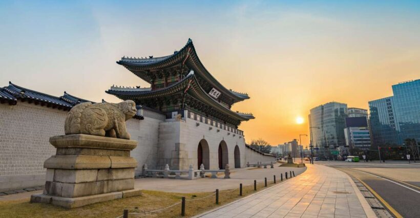 Private Customized Seoul Tour with Your Korean Buddy - Pricing and Value