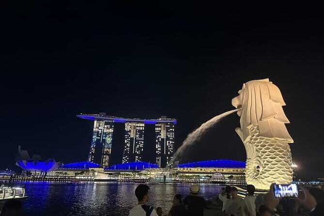Private Customized Singapore Walking Tour - Who Should Consider This Tour?