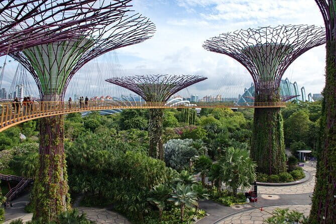 Private Customized Singapore Walking Tour - Final Thoughts: Is It Worth It?