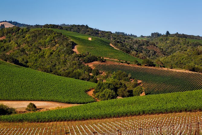 Private, Customized Sonoma Valley Wine Tour - Key Points
