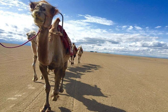 Private Customized the Silk Road Tour - FAQs
