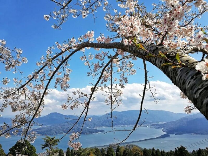 Private Customized Tour in Amanohashidate and Ine-Cho Area - Driver and Communication