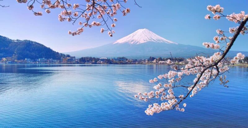 Private Customized Tour in Mount Fuji - Key Points