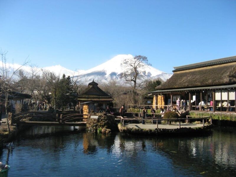 Private Customized Tour in Mount Fuji - Pricing and Booking