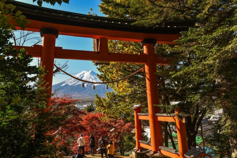 Private Customized Tour in Mount Fuji - Inclusions and Exclusions