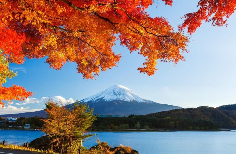 Private Customized Tour in Mount Fuji - Important Considerations