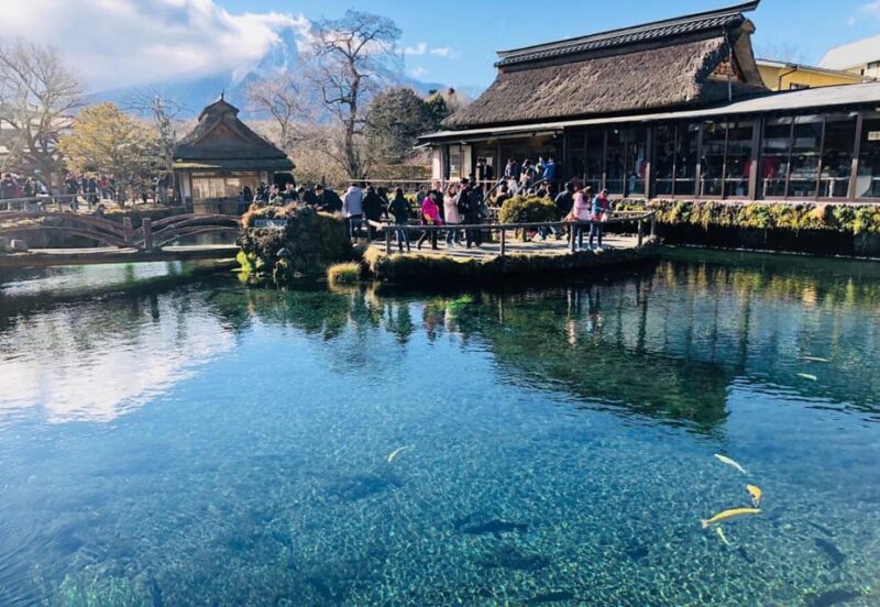 Private Customized Tour in Mount Fuji - Customer Testimonials