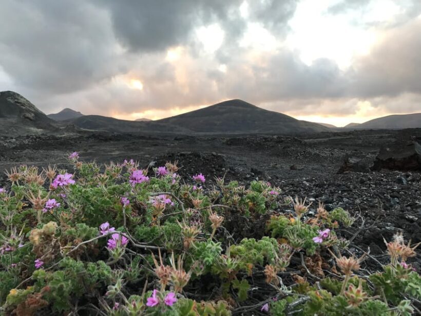 PRIVATE CUSTOMIZED TOUR OF LANZAROTE ISLAND - The Experience in Detail