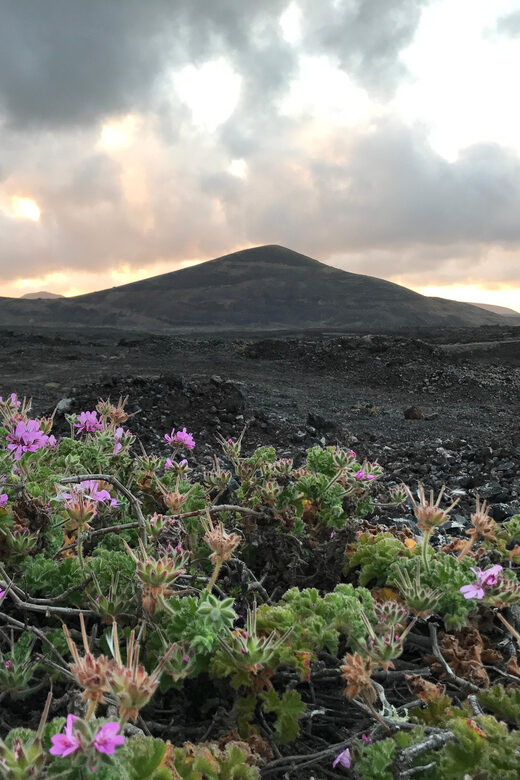 PRIVATE CUSTOMIZED TOUR OF LANZAROTE ISLAND - FAQ