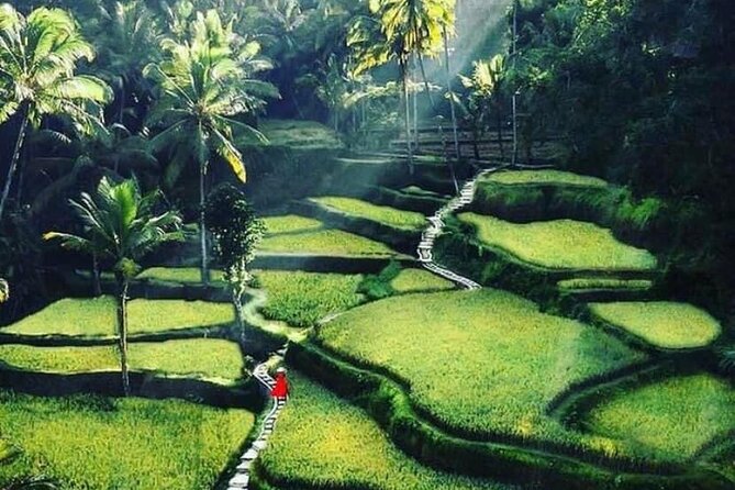 Private Customized Tour with Local Guide - Who Will Love This Tour?